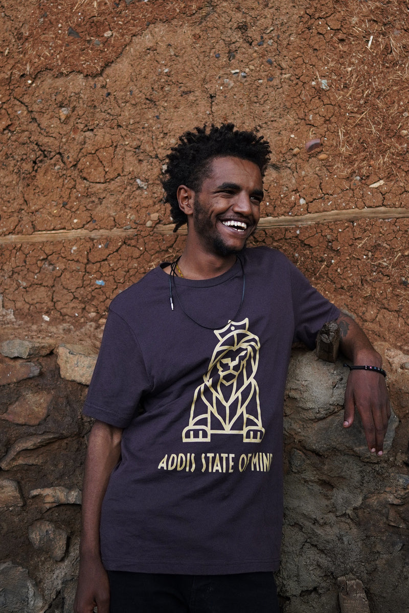 Addis Lion T-Shirt – Africology